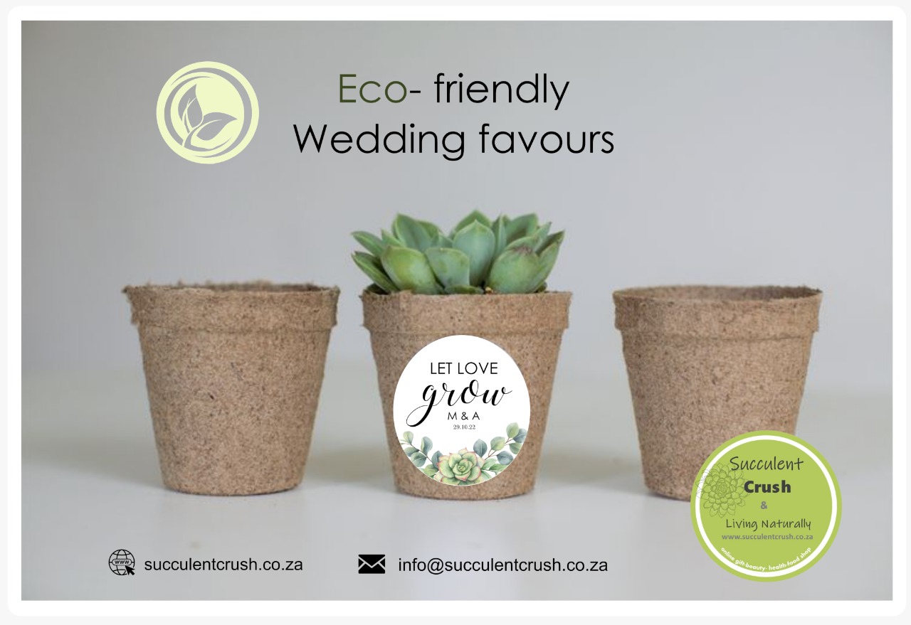Eco- friendly Wedding favours – Succulent Crush & Living Naturally